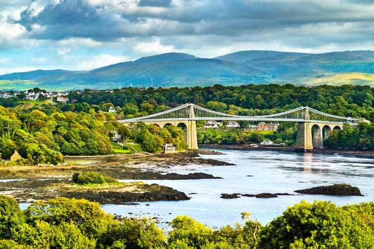 Bangor Big Chat - Caniad